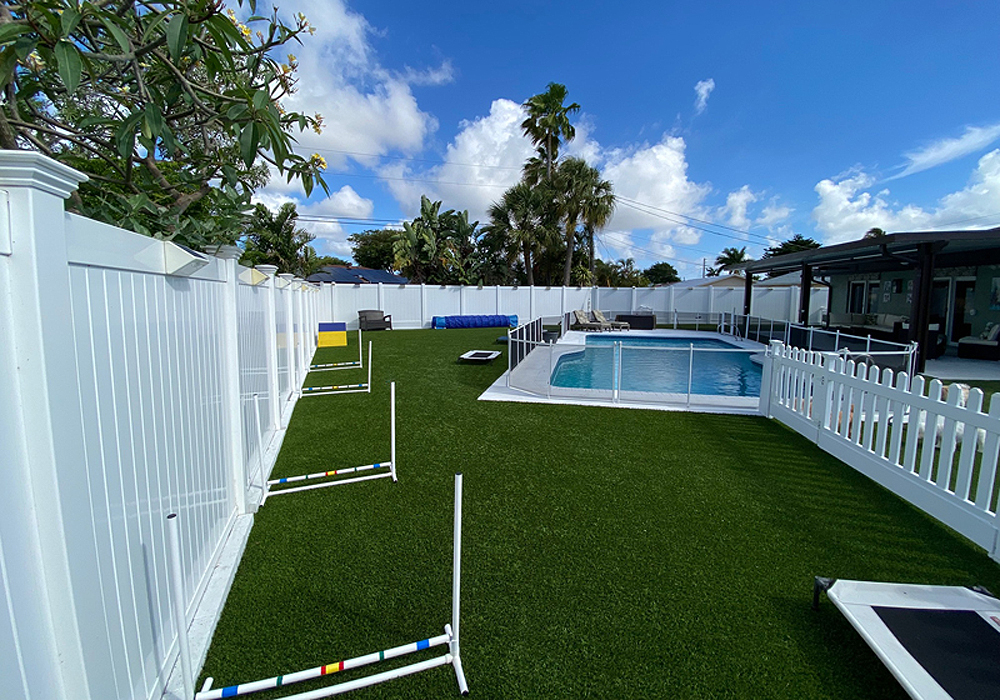 Dog Boarding Boynton Beach